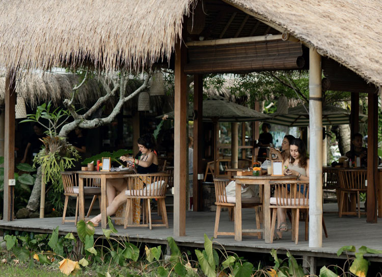 Surroundings - Ubud Bali Attractions - Rice Fields & Culture